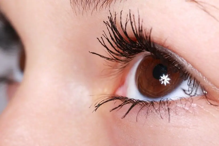 Was sind "Rehaugen" bei einem Menschen? Aufklärung